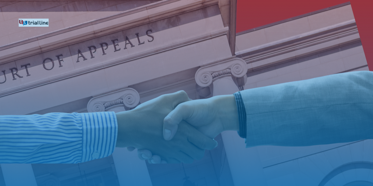 Court Case Timeline For Successful Appeals Process